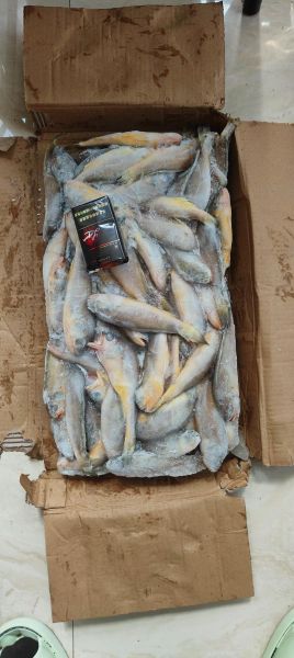 冻小黄花鱼怎么做好吃_冻小黄花鱼的家常做法-第2张图片-山城妙识 冻小黄花鱼怎么做好吃_冻小黄花鱼的家常做法-第2张图片-山城妙识