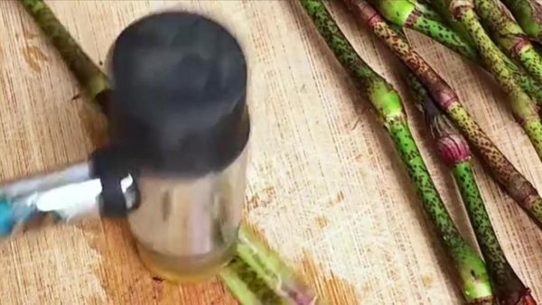 辣蓼草长什么样_辣蓼草图片怎么辨认-第2张图片-山城妙识