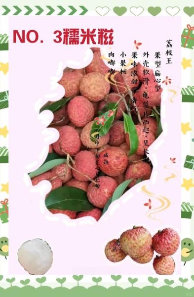 糯米糍荔枝怎么保存_糯米糍荔枝好吃吗-第3张图片-山城妙识