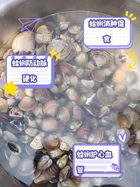 蛤蜊怎么养_蛤蜊怎么养它活着-第1张图片-山城妙识