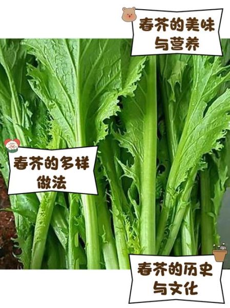 春芥菜图片_如何辨别新鲜度-第1张图片-山城妙识 春芥菜图片_如何辨别新鲜度-第1张图片-山城妙识