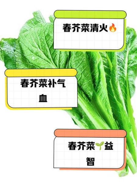 春芥菜图片_如何辨别新鲜度-第2张图片-山城妙识 春芥菜图片_如何辨别新鲜度-第2张图片-山城妙识