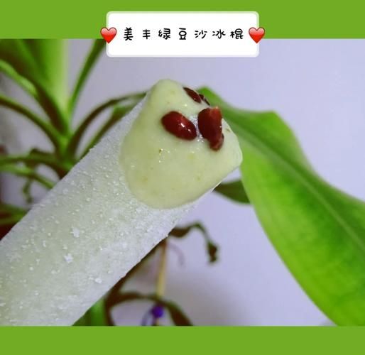 破壁机绿豆沙冰棍怎么做_绿豆沙冰棍会结冰渣吗-第3张图片-山城妙识