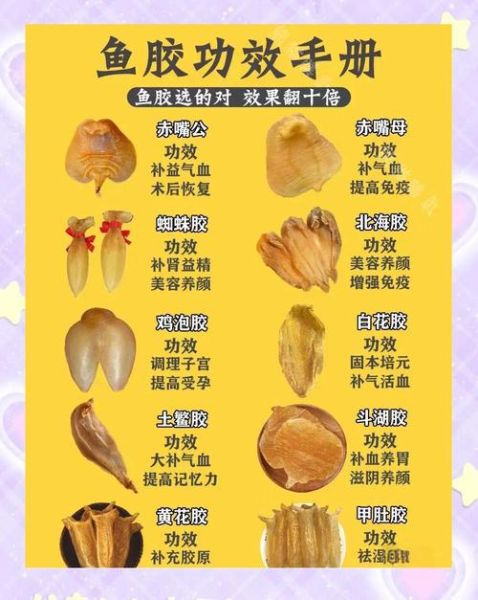 女人经常吃鱼胶会不会变年轻_鱼胶的功效与作用-第1张图片-山城妙识 女人经常吃鱼胶会不会变年轻_鱼胶的功效与作用-第1张图片-山城妙识