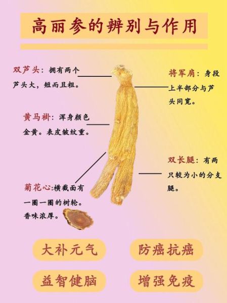 高丽参是红参吗_区别与功效全解析-第1张图片-山城妙识