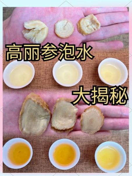 高丽参是红参吗_区别与功效全解析-第3张图片-山城妙识