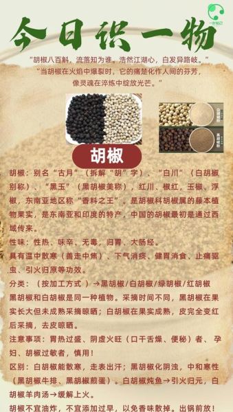 白胡椒和黑胡椒的区别_白胡椒和黑胡椒怎么用-第2张图片-山城妙识