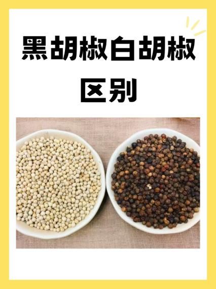 白胡椒和黑胡椒的区别_白胡椒和黑胡椒怎么用-第1张图片-山城妙识