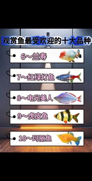 十大巨型观赏鱼有哪些_适合家养吗-第1张图片-山城妙识