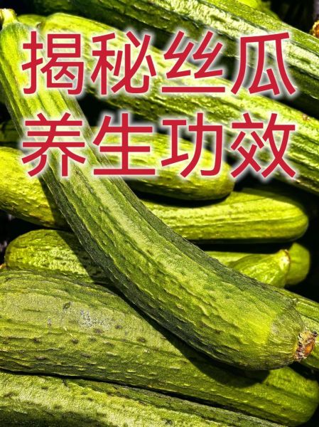 丝瓜的功效与作用_丝瓜怎么吃最养人-第1张图片-山城妙识