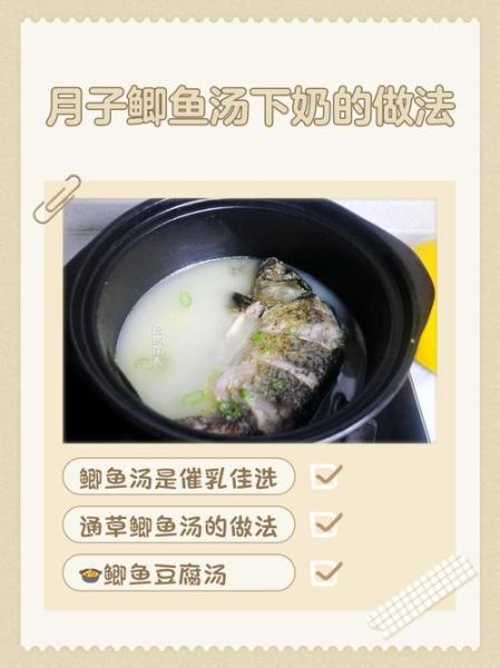 鲫鱼汤下奶的做法大全_鲫鱼汤怎么炖才下奶-第3张图片-山城妙识