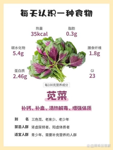 苋菜有几种_常见苋菜品种图片识别-第1张图片-山城妙识 苋菜有几种_常见苋菜品种图片识别-第1张图片-山城妙识