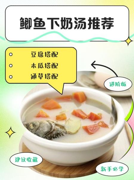 鲫鱼汤下奶的做法大全_鲫鱼汤怎么炖才下奶-第2张图片-山城妙识