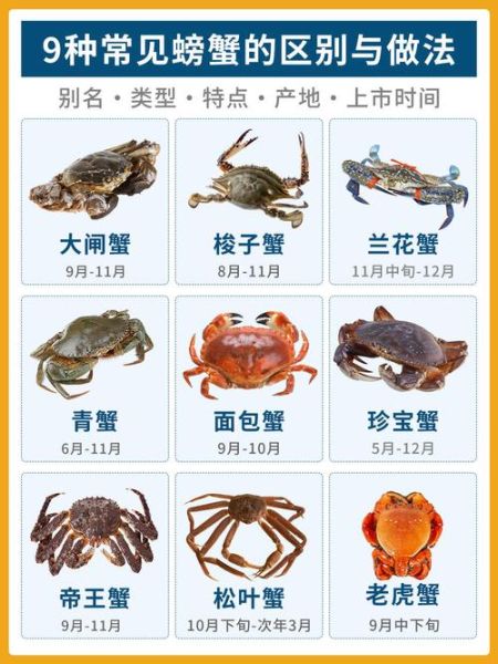 大闸蟹和梭子蟹的区别_哪种螃蟹更好吃-第2张图片-山城妙识 大闸蟹和梭子蟹的区别_哪种螃蟹更好吃-第2张图片-山城妙识