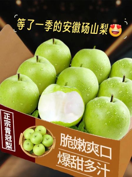 砀山梨怎么读_砀山梨产地在哪里-第3张图片-山城妙识 砀山梨怎么读_砀山梨产地在哪里-第3张图片-山城妙识