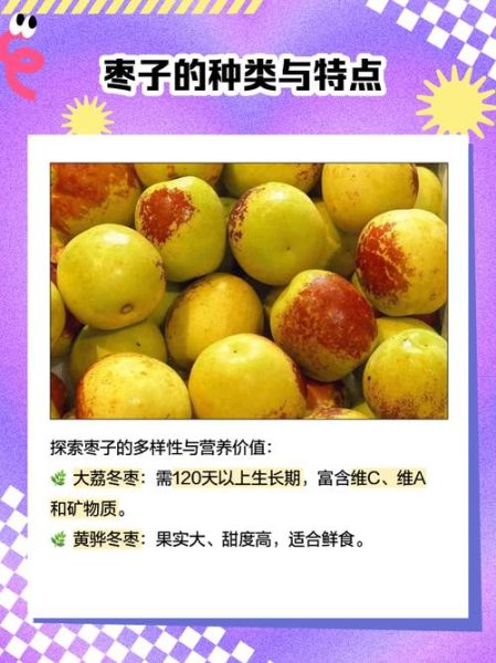 枣子几月份成熟_新鲜枣子上市时间-第1张图片-山城妙识