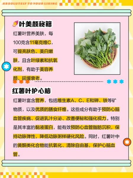 地瓜叶子有什么功效_地瓜叶子的作用与禁忌-第2张图片-山城妙识