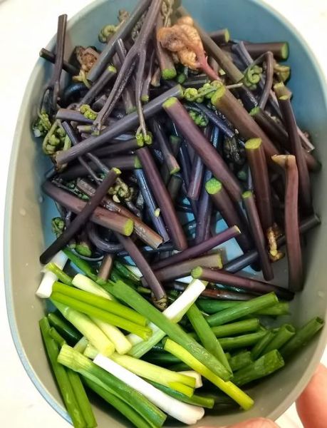 山野菜怎么做好吃_山野菜有哪些家常做法-第1张图片-山城妙识