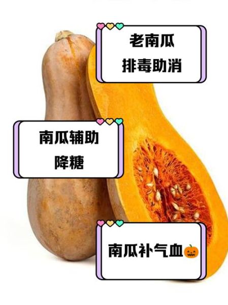 白南瓜怎么吃_白南瓜的营养价值-第1张图片-山城妙识