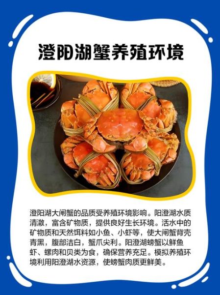 阳澄湖大闸蟹品牌排行_哪家最正宗-第1张图片-山城妙识 阳澄湖大闸蟹品牌排行_哪家最正宗-第1张图片-山城妙识