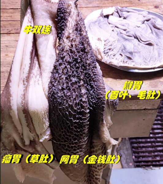 牛百叶是毛肚吗_牛百叶和毛肚的区别-第1张图片-山城妙识