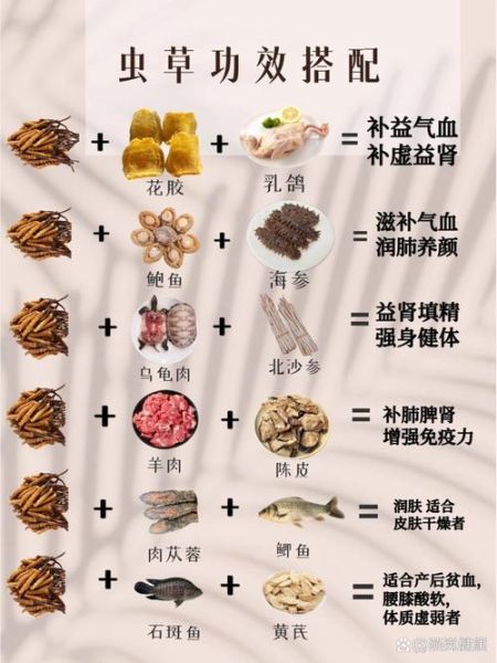 虫草怎么吃最好_虫草最简单的吃法-第3张图片-山城妙识