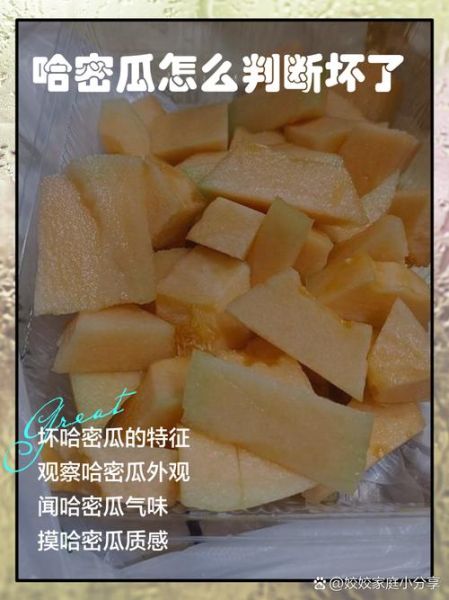 哈密瓜坏了发苦有毒吗_吃了会中毒吗-第2张图片-山城妙识