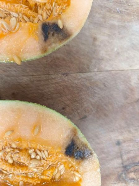 哈密瓜坏了发苦有毒吗_吃了会中毒吗-第1张图片-山城妙识