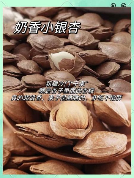 干果图片大全带名字_干果种类有哪些-第1张图片-山城妙识 干果图片大全带名字_干果种类有哪些-第1张图片-山城妙识