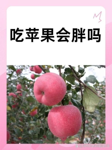 苹果热量高吗_苹果吃了会胖吗-第1张图片-山城妙识