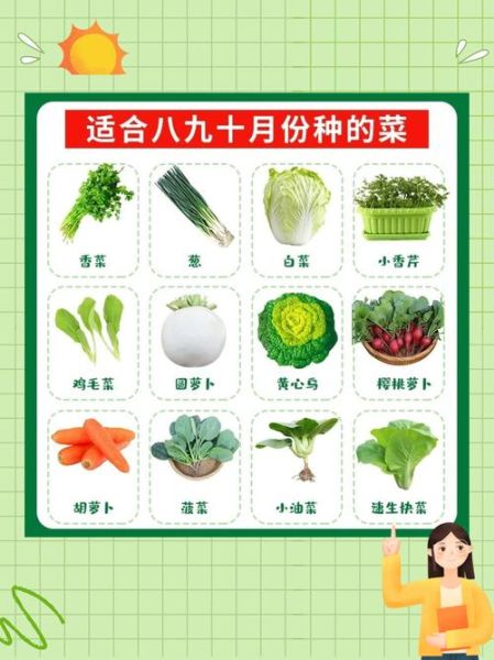 秋天的蔬菜有哪些_秋天时令蔬菜图片大全-第2张图片-山城妙识