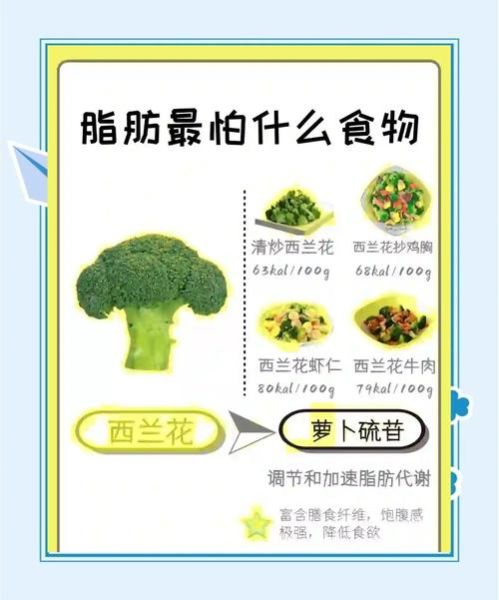 哪些蔬菜减肥效果最好_怎么吃才能越吃越瘦-第2张图片-山城妙识