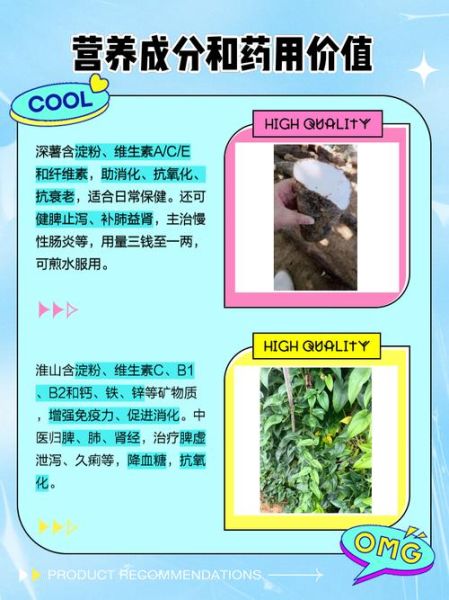 淮山跟什么薯最像_怎么区分真假淮山-第3张图片-山城妙识