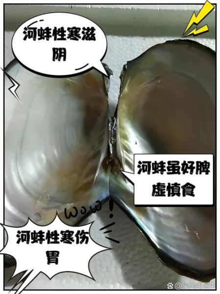 河蚌煮多久寄生虫能死_河蚌要煮多久才安全-第1张图片-山城妙识