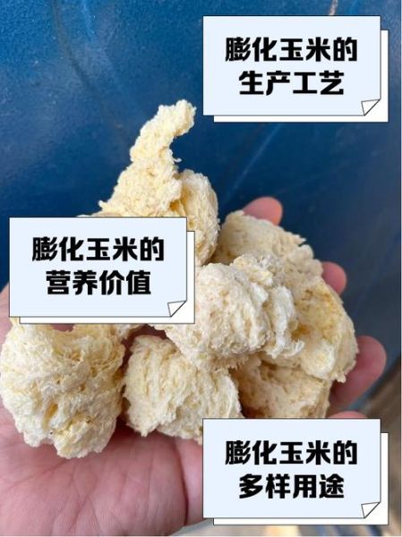 玉米膨化机配方_膨化玉米配料比例-第1张图片-山城妙识