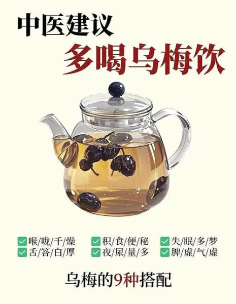 乌梅汤的做法和功效_乌梅汤配方剂量是多少-第2张图片-山城妙识