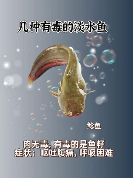 哪三种致癌鱼不能吃_致癌鱼有哪些-第1张图片-山城妙识