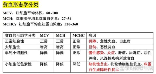 贫血分级标准是什么_贫血分几个等级-第1张图片-山城妙识