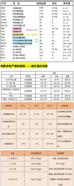 贫血分级标准是什么_贫血分几个等级-第2张图片-山城妙识