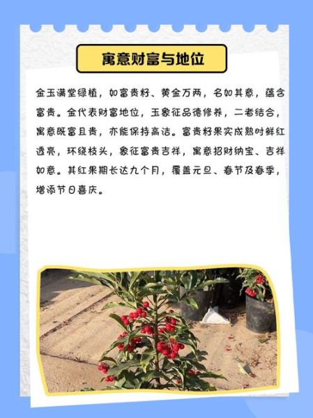 金玉满堂是什么意思_金玉满堂的寓意和象征-第1张图片-山城妙识