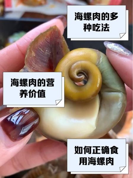 海螺怎么吃里面的肉_海螺肉怎么取出来-第1张图片-山城妙识