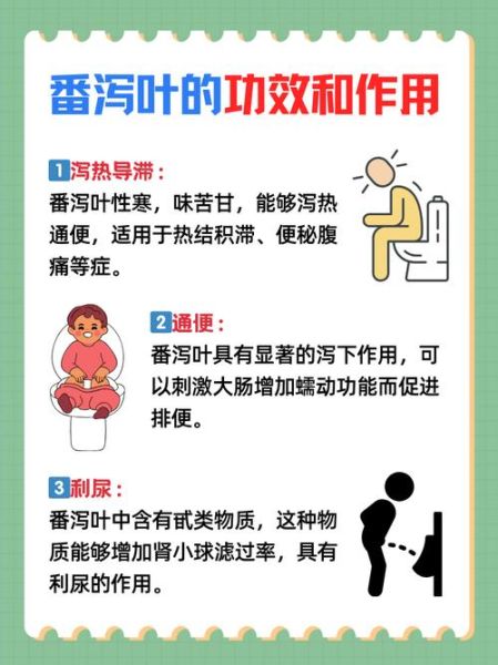 番泻叶什么时候喝_番泻叶空腹还是饭后-第2张图片-山城妙识