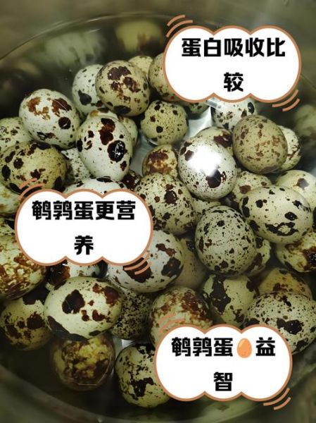 鹌鹑蛋和鸡蛋哪个更好_鹌鹑蛋和鸡蛋营养对比-第3张图片-山城妙识