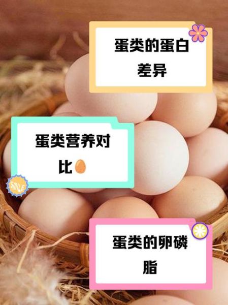 鹌鹑蛋和鸡蛋哪个更好_鹌鹑蛋和鸡蛋营养对比-第1张图片-山城妙识