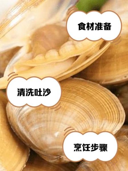 黄蚬子怎么吐沙干净_黄蚬子吐沙最快的方法-第3张图片-山城妙识