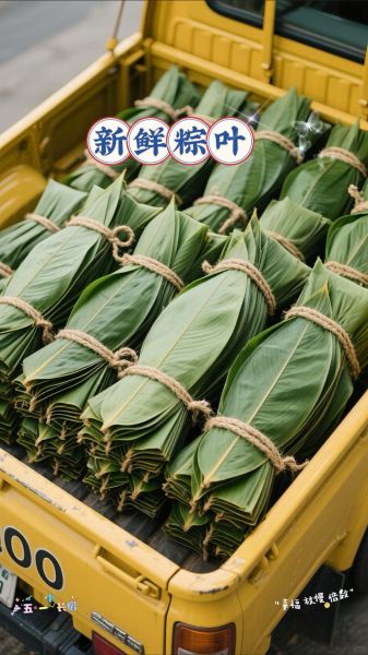 新鲜粽叶要不要用水煮_粽叶煮多久才够-第3张图片-山城妙识