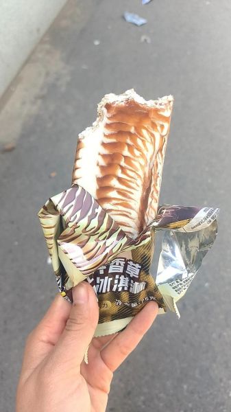 香草冰淇淋的香草是哪种香草_如何辨别真假香草籽-第2张图片-山城妙识