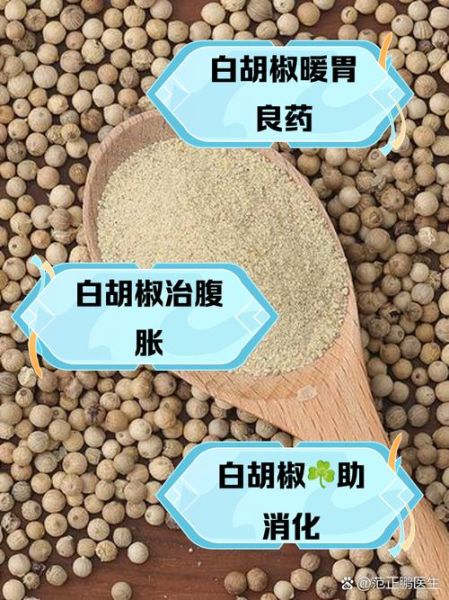 白胡椒粉的功效与禁忌_孕妇能吃吗-第1张图片-山城妙识