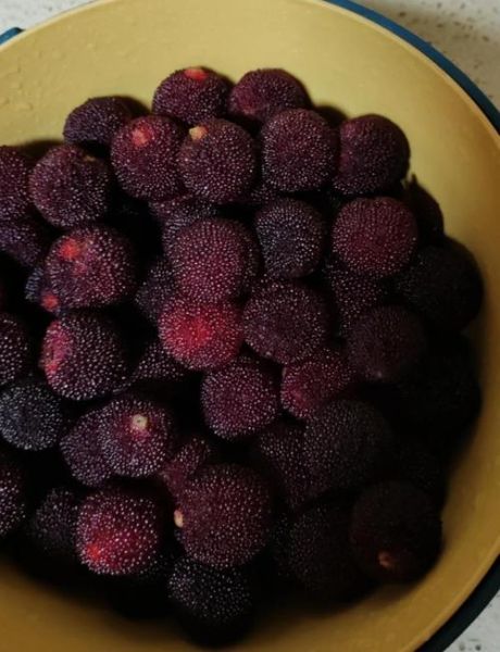 杨梅干怎么做_家庭自制杨梅干步骤-第1张图片-山城妙识