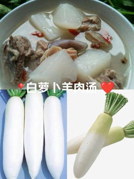 白萝卜可以炖羊肉吗_怎么做才好吃-第1张图片-山城妙识